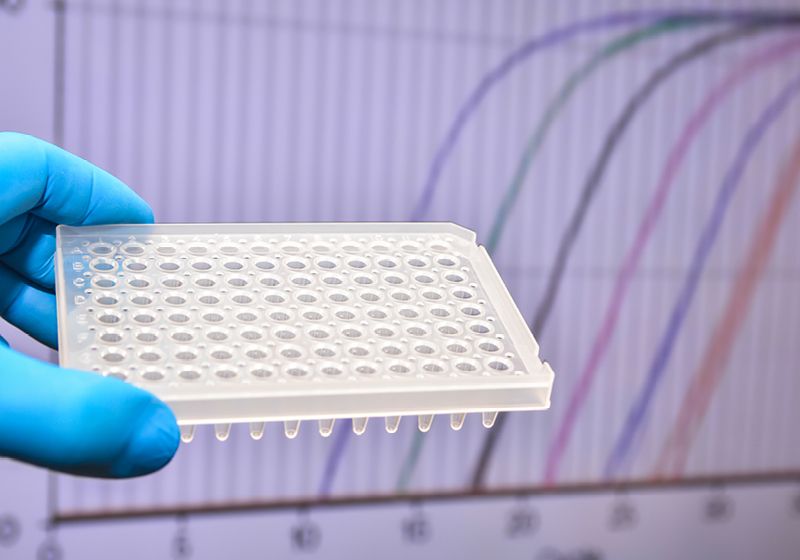 Real-Time PCR Tips and Tricks | The Scientist