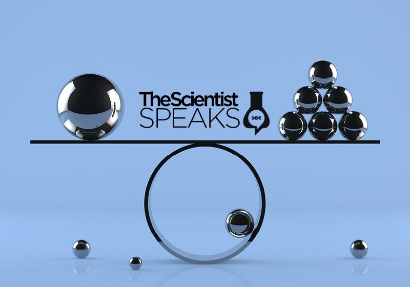 Immune Cells and ALS: A Balance Between Life and Death | The Scientist