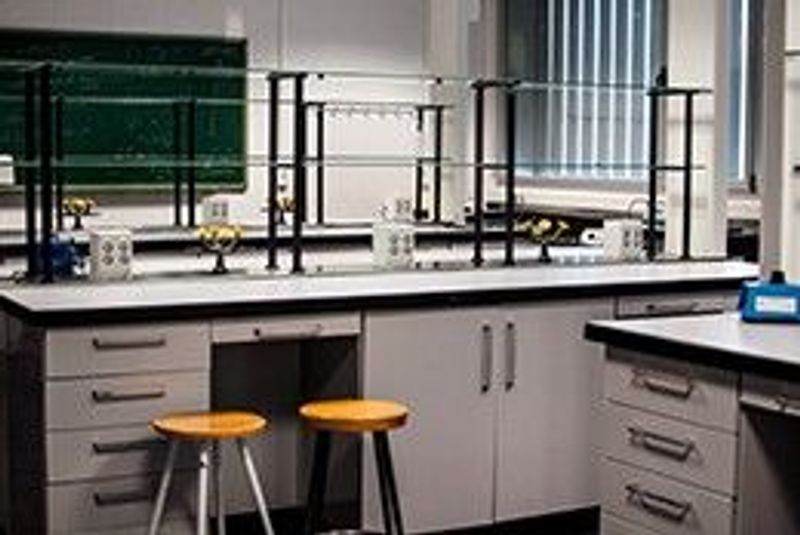 Breaking New Ground | The Scientist