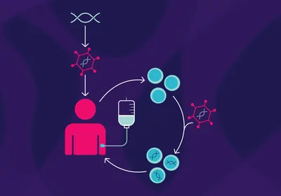 What Is A Vector Gene Therapy