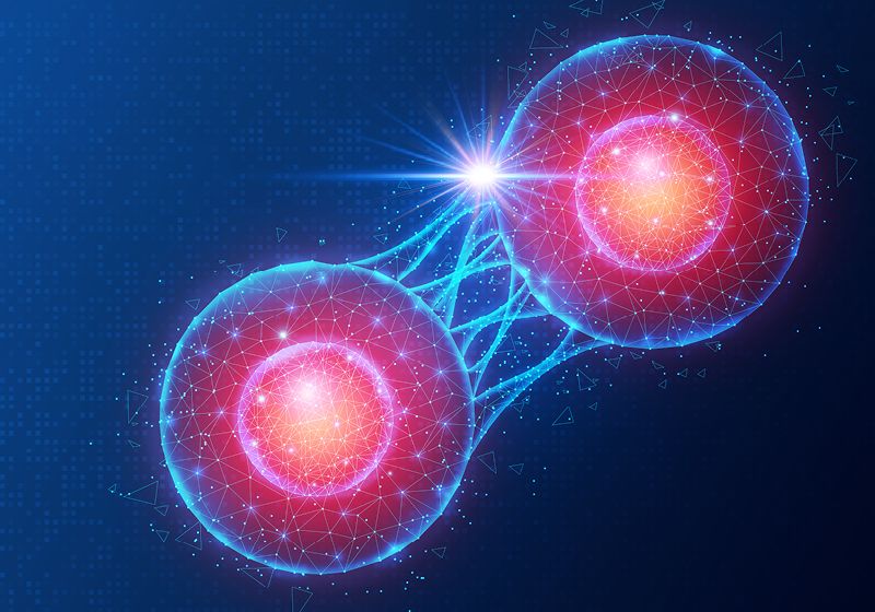 Maximizing Sample Purity for Clinical Grade Cell Therapeutics | The ...