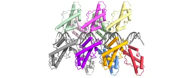 Bacteria Have Histones After All: Study | The Scientist