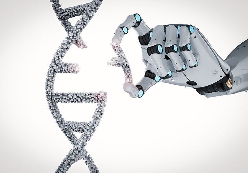 A New Way to Control Stem Cell Fate Using Gene Circuits | The Scientist