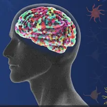 DNA Mutation | The Scientist