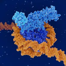 Agilent Profile | The Scientist