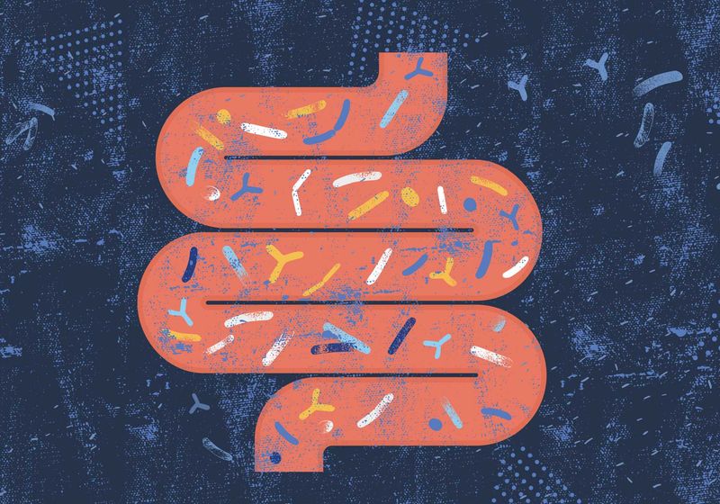 Interview | The Scientist