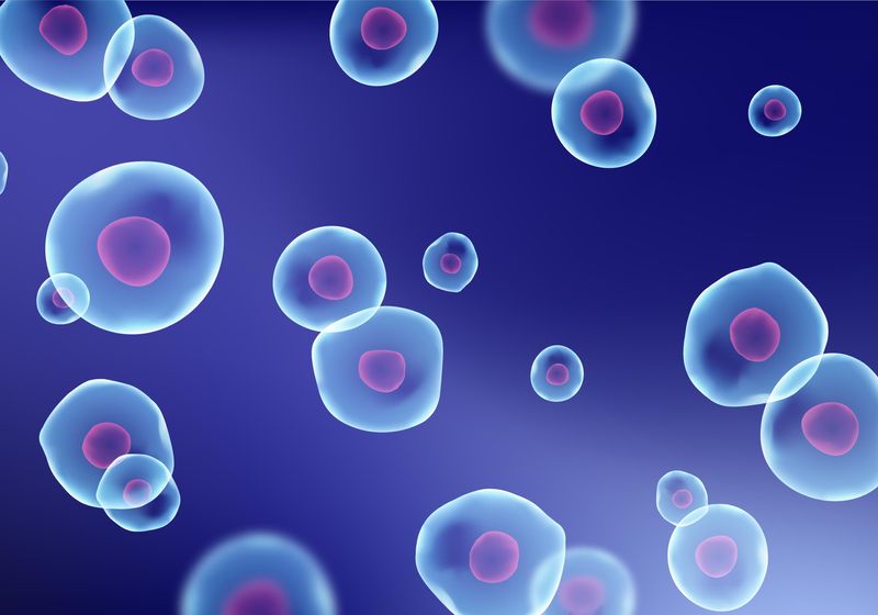 Unlocking the Full Potential of Advanced Flow Cytometry | The Scientist