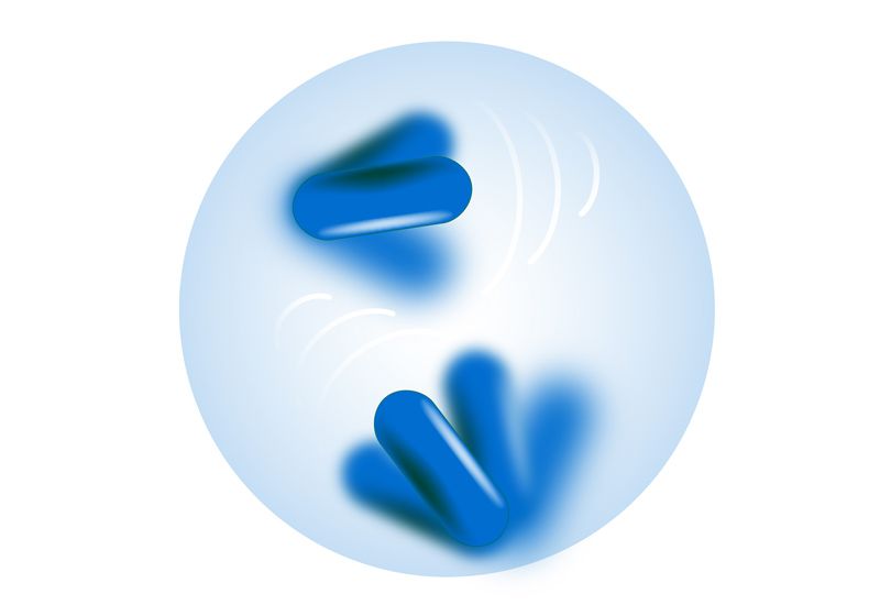 Jiggling Bacteria Reveal Antibiotic Resistance | The Scientist