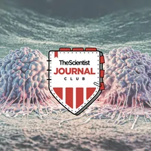Journal Club | The Scientist