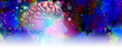 High Time: The Roles of Endogenous Psychedelics | The Scientist