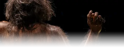 Why Don’t Humans Have Fur? | The Scientist