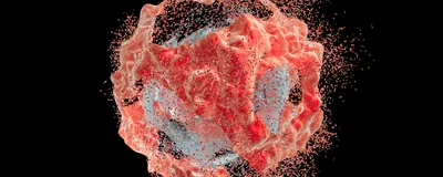 Assessing Drug Cytotoxicity through Artificial Intelligence | The Scientist