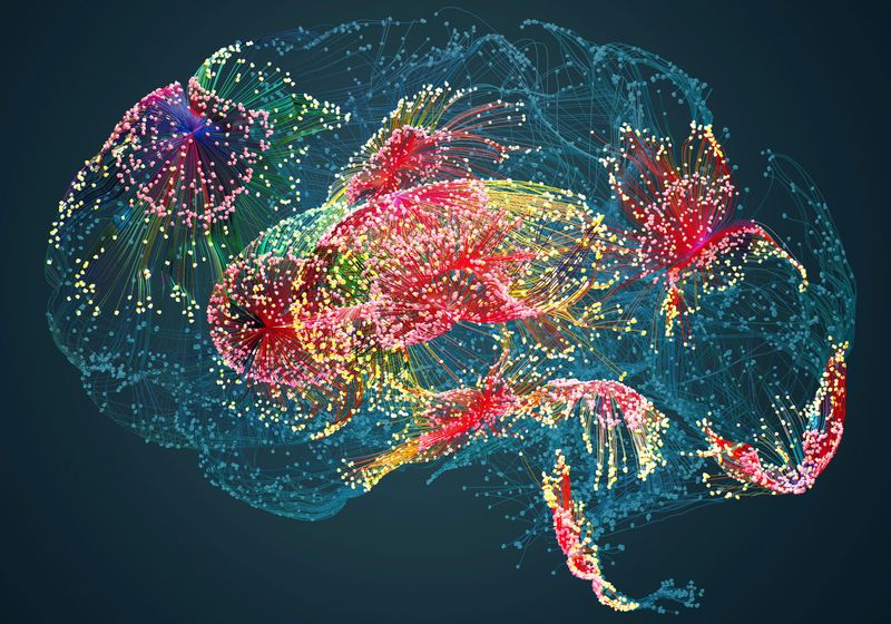 What Was the First Animal to Evolve a Brain? | The Scientist
