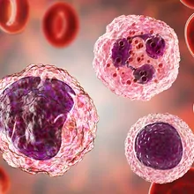 Microscopy | The Scientist