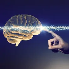 Endogenous Stem Cells | The Scientist