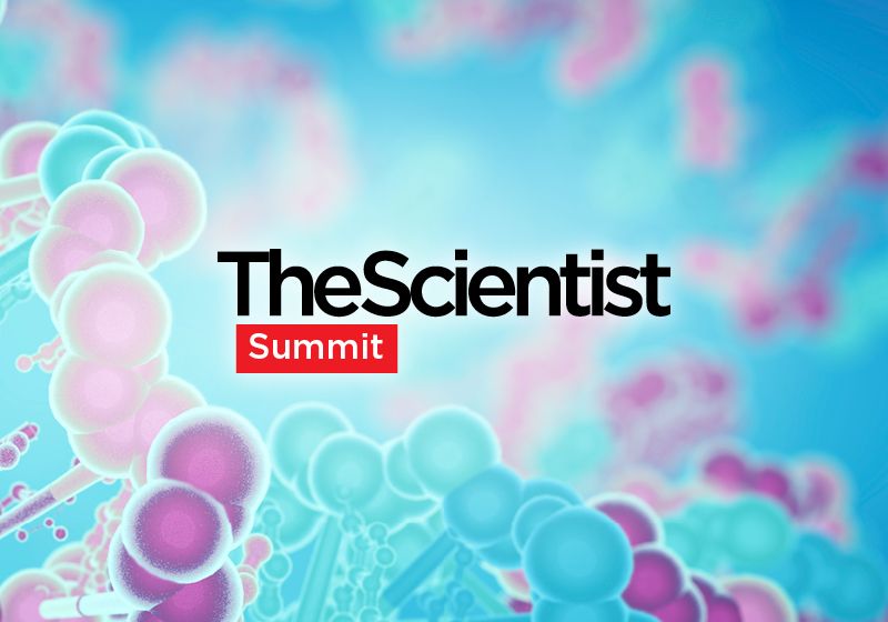 How Can Core Labs Help You Get Started with NGS? | The Scientist