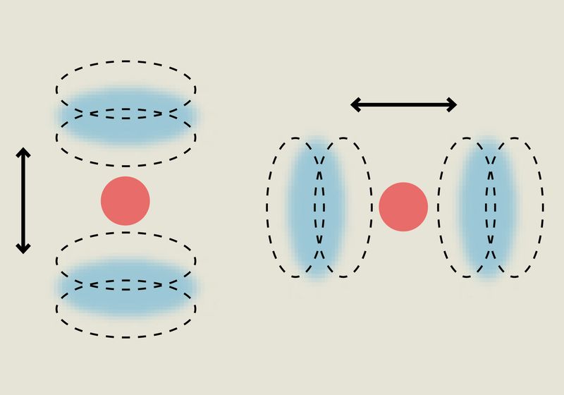 A New Kind of MINFLUX | The Scientist