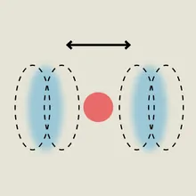 Microscopy | The Scientist
