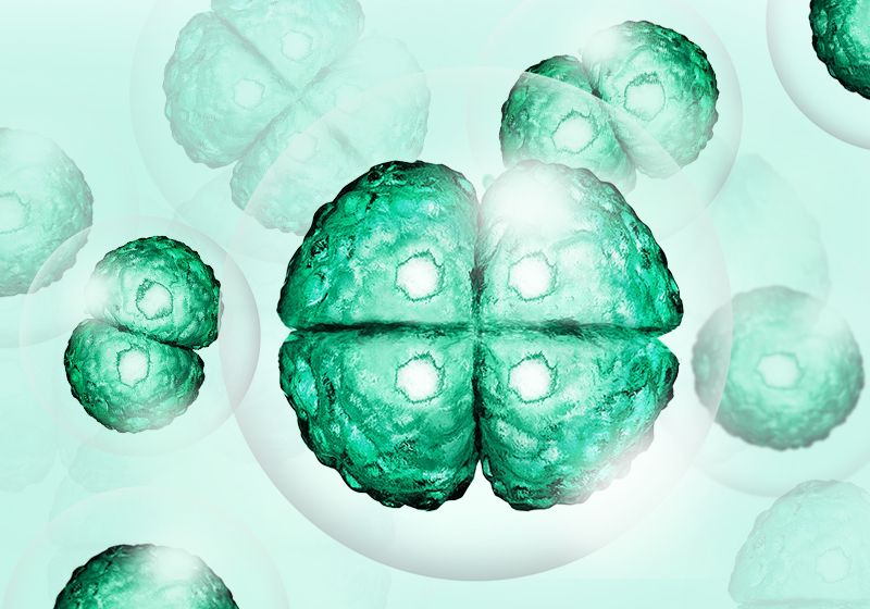 Introducing GMP-Grade Recombinant Cytokines for Stem Cell Research ...