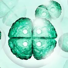 Sino Biological Profile | The Scientist