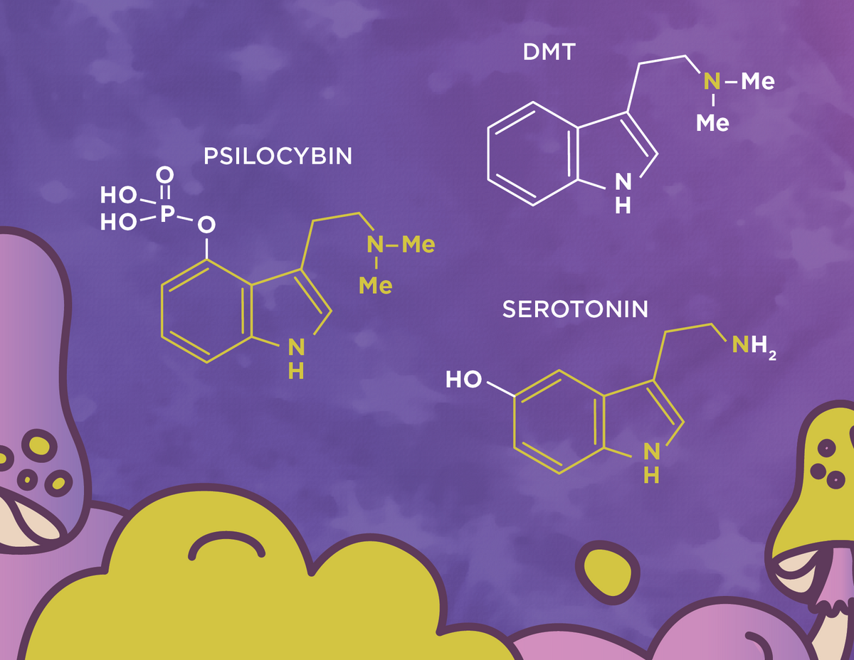 Infographic What A Trip The Scientist Infographic What A Trip The Scientist