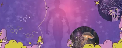 Psychedelics The Scientist