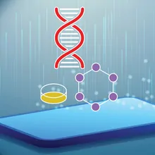 Infographic | The Scientist