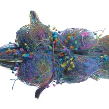 Methods | The Scientist