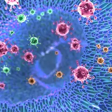 Viruses | The Scientist