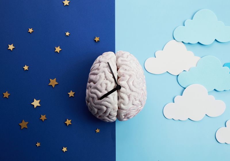 Sleep Rhythms Prompt Long-term Memories | The Scientist