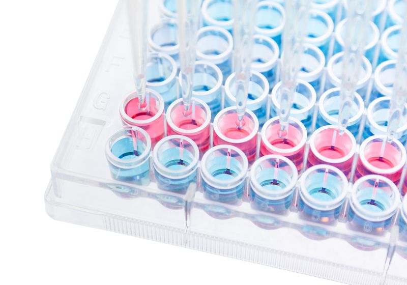 Mastering Cell Culture Liquid Handling | The Scientist