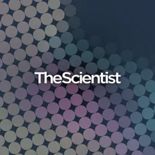 Spatial Biology | The Scientist