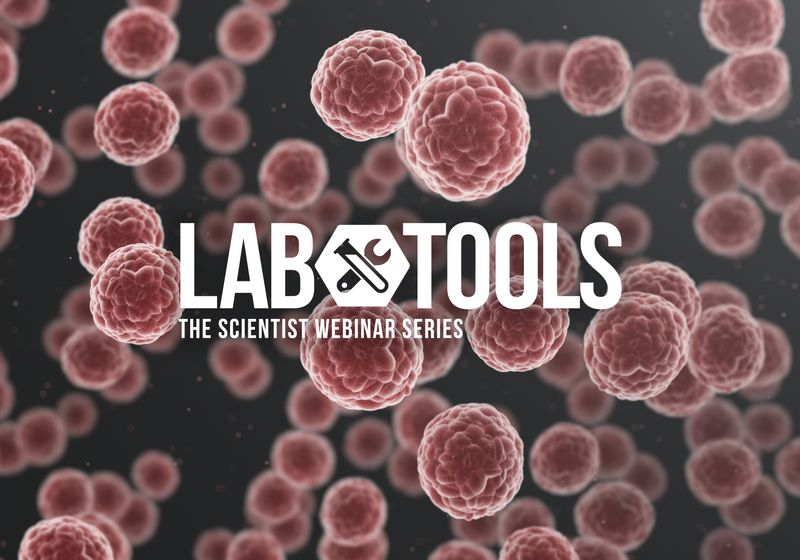 Beyond Skin Deep: Analyzing Melanoma Cells Through Morphology - TrendRadars