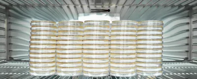 Improving Data Reliability Through Incubator Monitoring | The Scientist