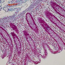 Research Product Blog | The Scientist