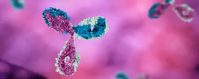 Phage Display: Finding the One in a Million | The Scientist