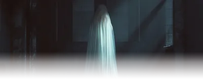 Analyzing Phantom Spectra | The Scientist