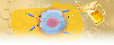 Alcohol Leaves its Mark on Immune Cells | The Scientist