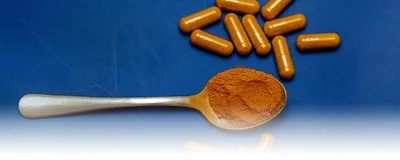 Turmeric Tackles Antimicrobial Resistance | The Scientist