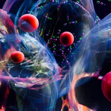 Namocell Profile The Scientist