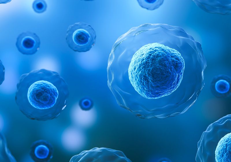 Accelerate Cell Therapy Discovery with Multi-Parameter Cell Sorting ...