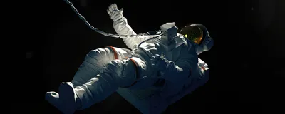 Zero Gravity, Zero Gain: The Genetics Behind Muscle Loss in Space | The ...