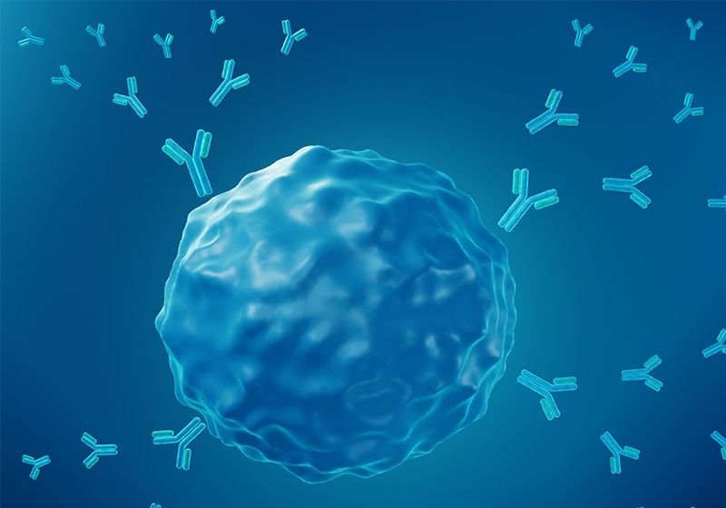 Microscopic Bowls Uncover the Secrets of Protein Secretions | The Scientist