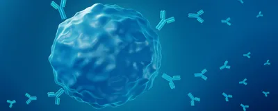 Microscopic Bowls Uncover the Secrets of Protein Secretions | The Scientist