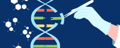 Avoiding Gene Editing’s Unintended Consequences | The Scientist