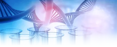 How to Catalyze RNA and DNA Extraction Success | The Scientist