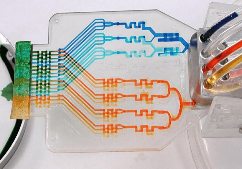 Microfluidics: Biology’s Liquid Revolution | The Scientist