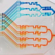 Single-cell Analysis | The Scientist