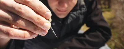 CRISPR Gene Drives and the Future of Evolution | The Scientist