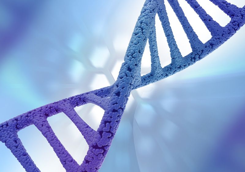 Finding DNA Tags in AAV Stacks | The Scientist